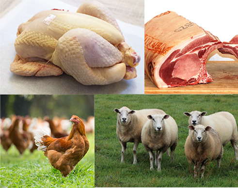 » Soutenez les producteurs locaux et mangez mieux